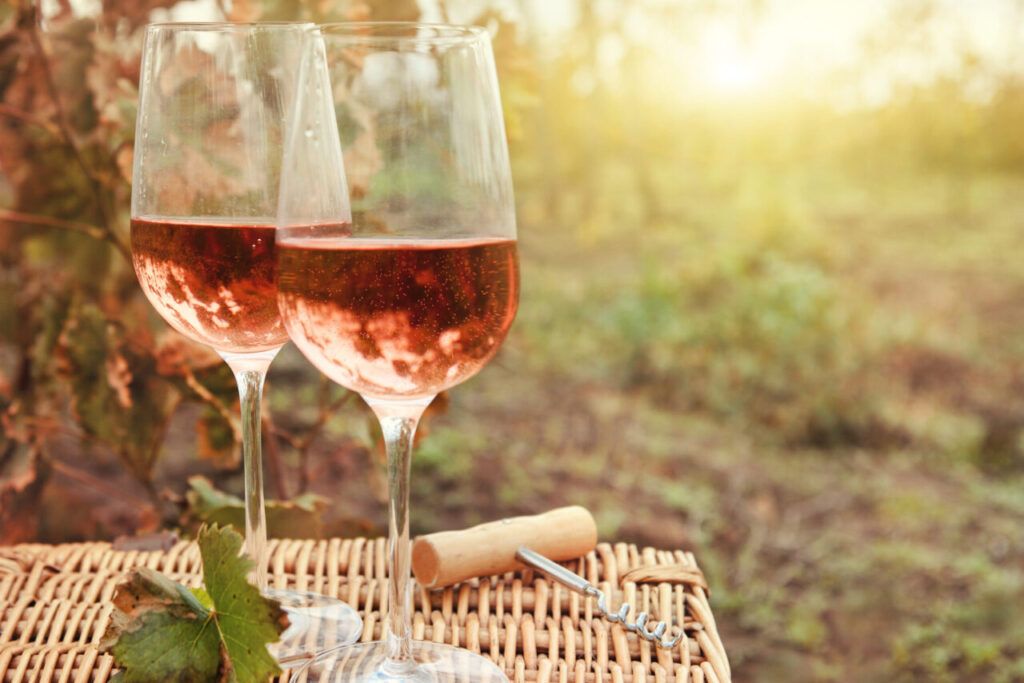 Vin rosé château de berne - vins-gastronomie.com